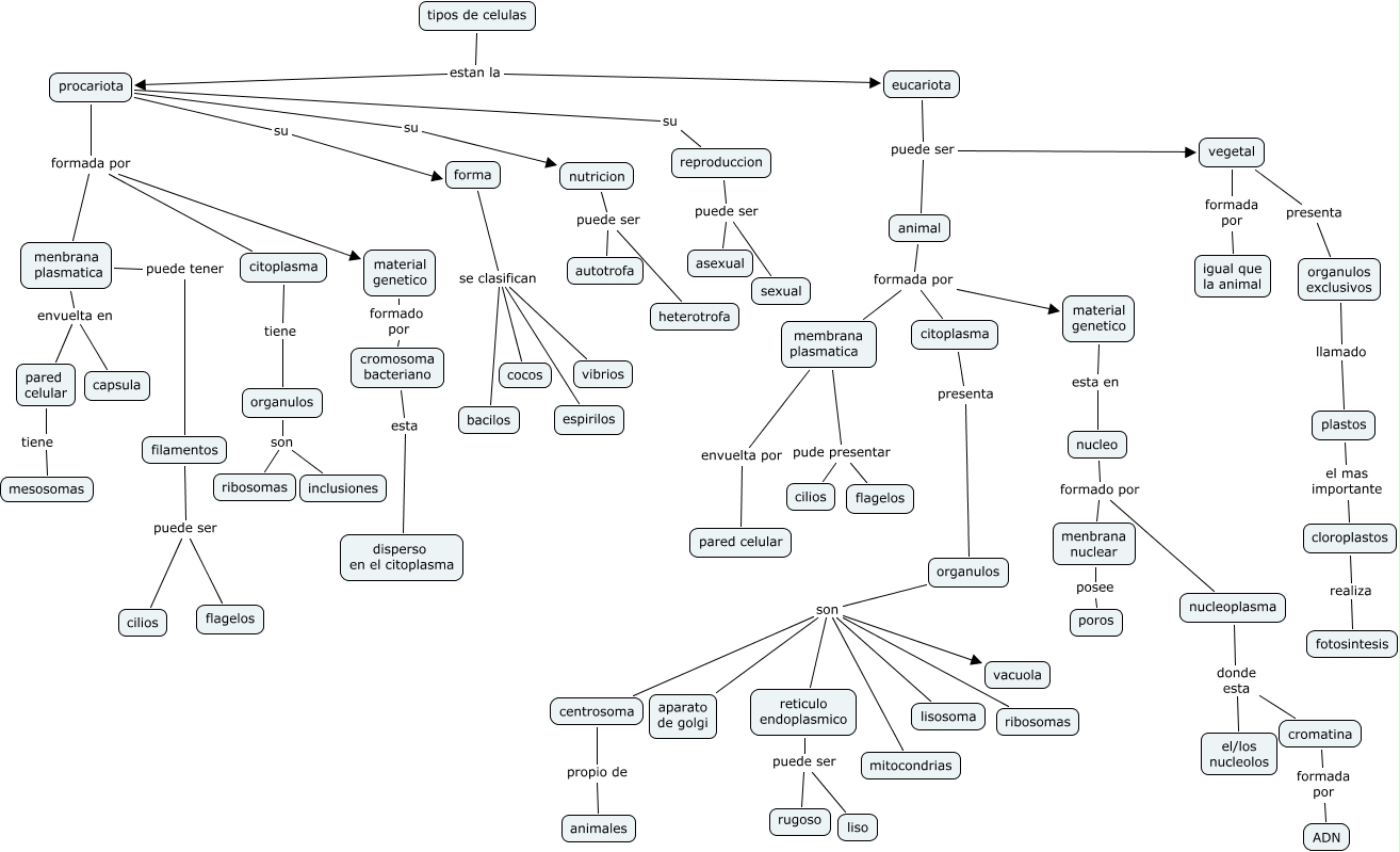 celula procariota y ecuariota